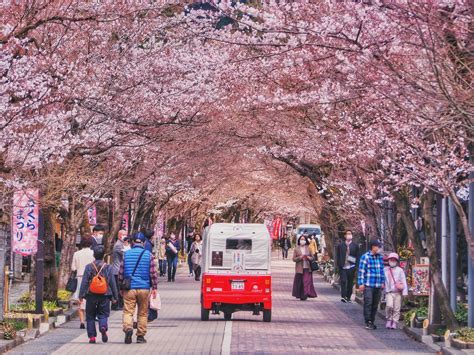 Visit Gifu Visitgifu