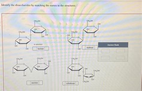 Solved Name The Monosaccharides In The Images By Placing The