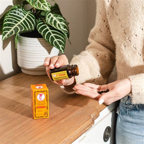 Trumpet Brand Seirogan Herbal Stomach Supplement 100 Pills Prince Of