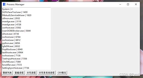 Python实现进程管理小工具 Process Managerpsutil进程管理gui Csdn博客