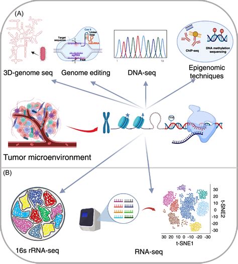 Figure 1 From Applying Multi‐omics Toward Tumor Microbiome Research