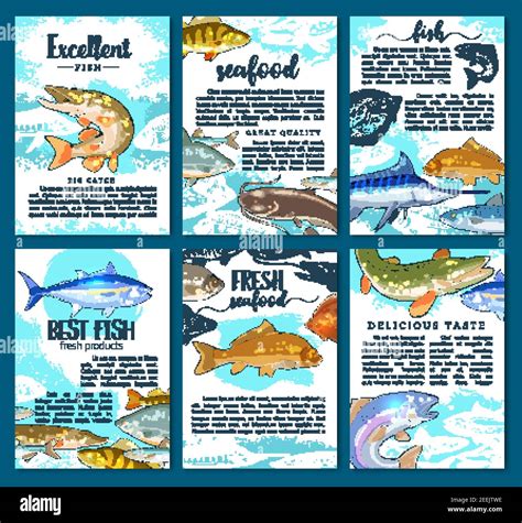 Fish Posters Set For Seafood Or Fish Food Market Vector Brochure