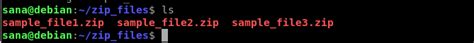 Simultaneously Unzip Or Unrar Multiple Files In Debian 10 Vitux