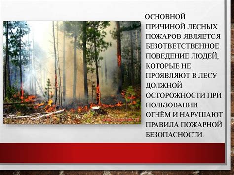 Профилактика лесных и торфяных пожаров защита населения презентация онлайн