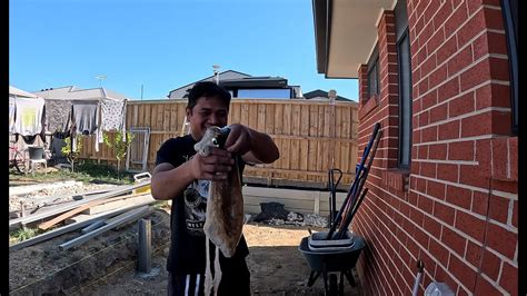 Ang Lalaki Ng Mga Pusit Dito Youtube