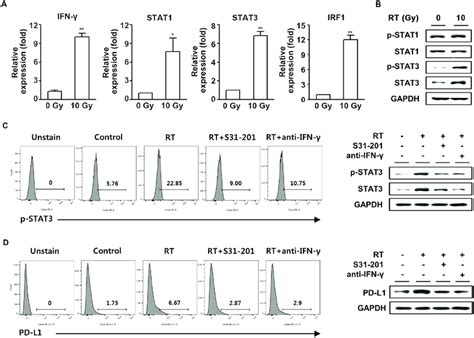 Upregulation Of Pd L1 Expression In Tumor Cells Following Radiation Was Download Scientific