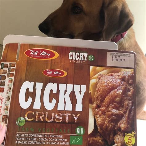 Tuttaltro Cicky Review Abillion