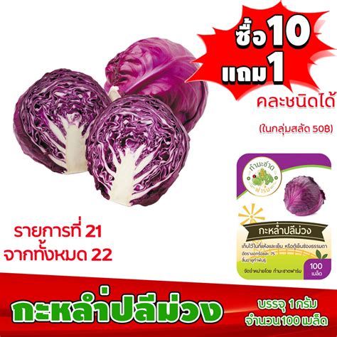 ซื้อ10แถม1 ฟรีคู่มือ เมล็ดพันธุ์ กะหล่ำปลี ม่วง Purple Cabbage 0 5กรัม ประมาณ 100เมล็ด ทำมะ