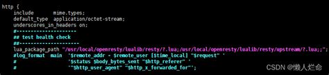 openresty健康检查的配置 csdn博客