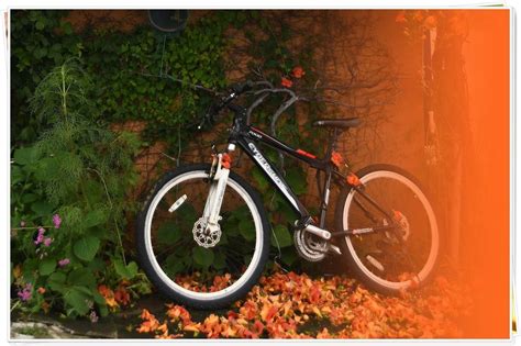 자전거가 있는 풍경