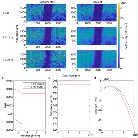 A Comparison Of Experimental Data And Adjoint Model Predictions From