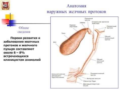 Пороки развития и заболевания желчных протоков и желчного пузыря у детей