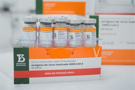 Desinformação Sobre Coronavac Pode Prejudicar Vacinação Contra Covid 19