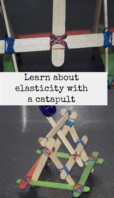 Catapult Science Project