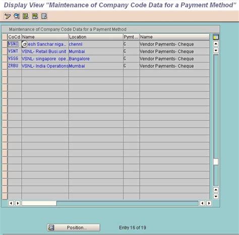 Fbzp Settings All Company Codes