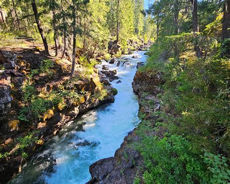 The 15 Best Things To Do In Medford 2026 Must See Attractions