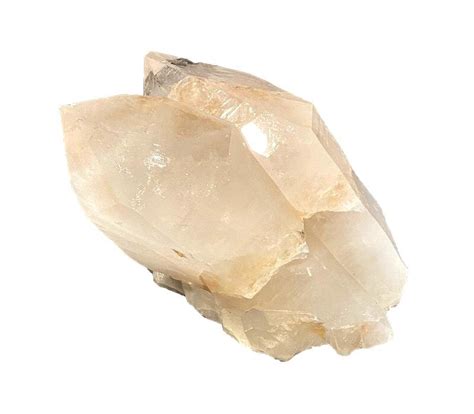 MINERALS FOSSILS Accessory Preview Inc