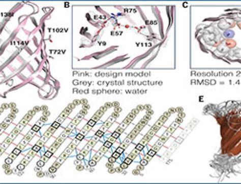 Notes On Single Cell Rna Seq Reveals Dynamic Random Monoallelic Gene Expression In Mammalian