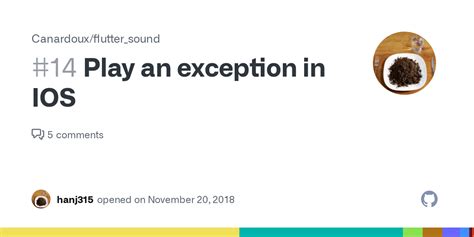 Play An Exception In IOS Issue Canardoux Flutter Sound GitHub