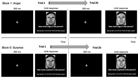 Schematic Representation Of Experimental Paradigm Download Scientific Diagram