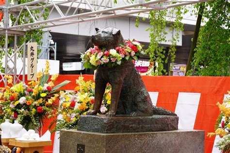 忠犬ハチ生誕100年 渋谷でも今夏フェスイベント シブヤ経済新聞