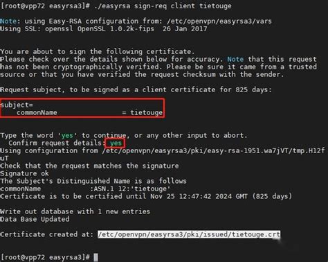 openVPN VPP openVPP 知乎