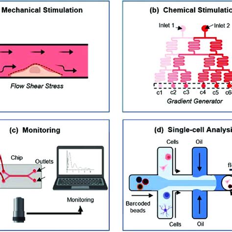 Examples Of Microfluidics In High Throughput Applications Including