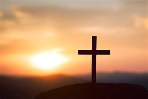 1 310 십자가 무료 다운로드 사진 그림 및 배경 이미지 Pngtree