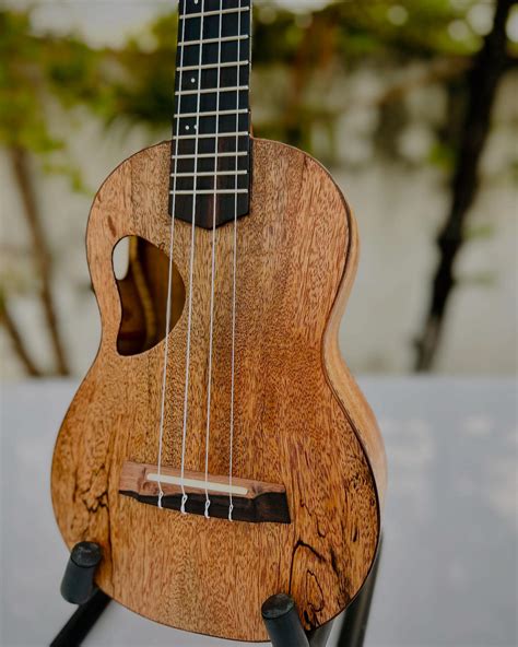 Valukes Cannot Decide Between Low Or High G Why Not Have Both🤔 We Introduce Our Super Tenor