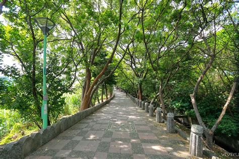 2020桃園地景藝術節｜中壢大崙、平鎮雙連坡雙展區，以竹為材料的28件藝術裝置全在這！ Yahoo奇摩汽車機車