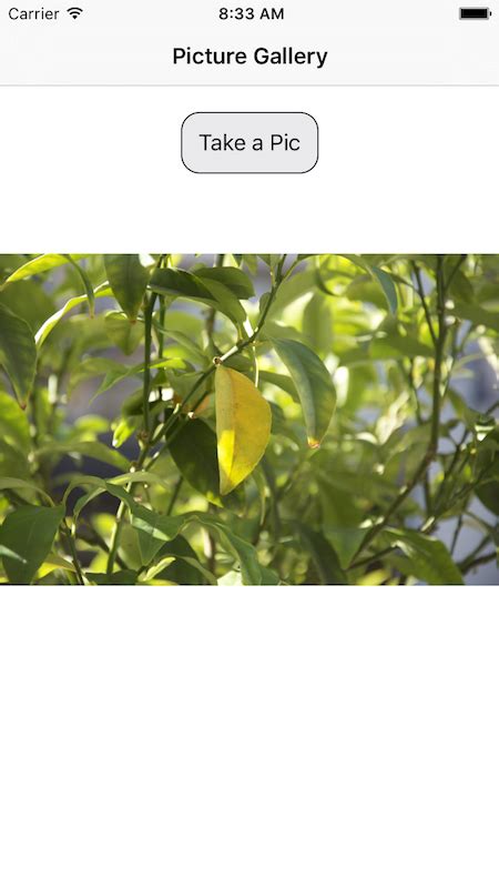 Stateful Nativescript Picture Gallery App With Font Awesome 5 Icons