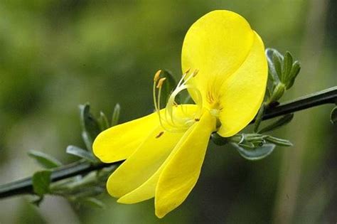 Week Lab Flashcards Quizlet Week Lab Flashcards Quizlet