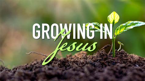 Home Evangelism Explosion Ee International