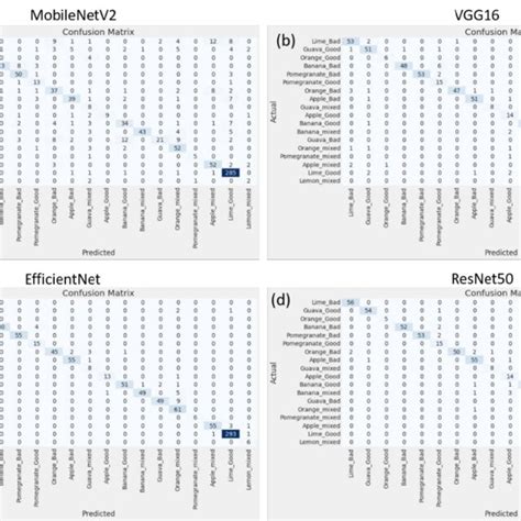 Model Performance Convolutional Network On Fruit Quality Classification Download Scientific