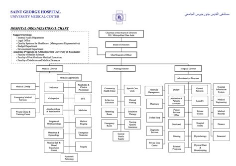 Hospital Hierarchy Chart