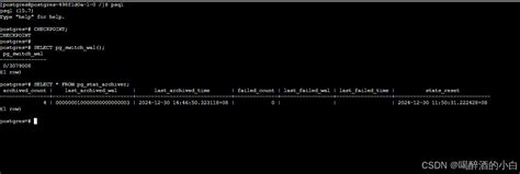 在 Postgresql 中,手动执行 Checkpoint 和 切换归档postgres切换归档 Csdn博客 在 Postgresql 中,手动执行 Checkpoint 和 切换归档postgres切换归档 Csdn博客