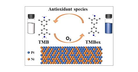 Platinumnickel Nanoparticles With Enhanced Oxidase Like Activity For Total Antioxidant Capacity