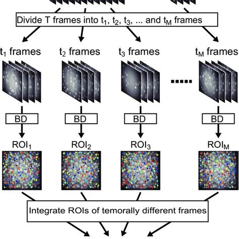 Schematic Diagram Of Lccd Taking Temporal Division And Integration Download Scientific Diagram