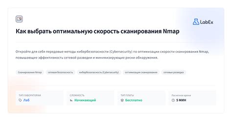 Как выбрать оптимальную скорость сканирования Nmap Labex