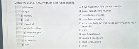 Solved Match The Cranial Nerve With Its Best Functional F