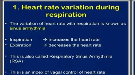 Autonomic Function Testpptx Operating Systems Computer Software