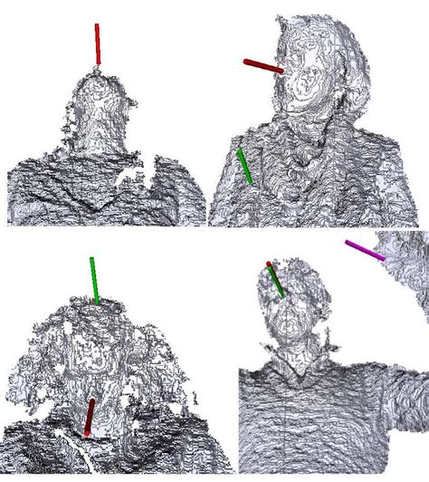 random forests for real time 3d face analysis