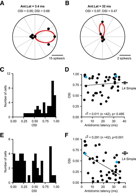 Axonal Conduction Delays Brain State And Corticogeniculate Communication Journal Of Neuroscience