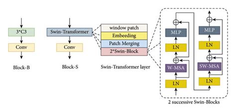 Structure Of Block B And Block S Download Scientific Diagram