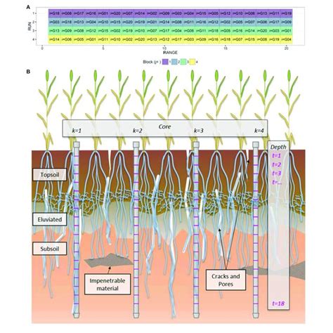 Schematics Of The Field Experiment A Surface Layout Of The Field