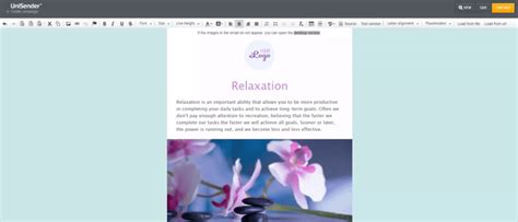 Adding A Link To The Web Version Of Your Email In Selzy