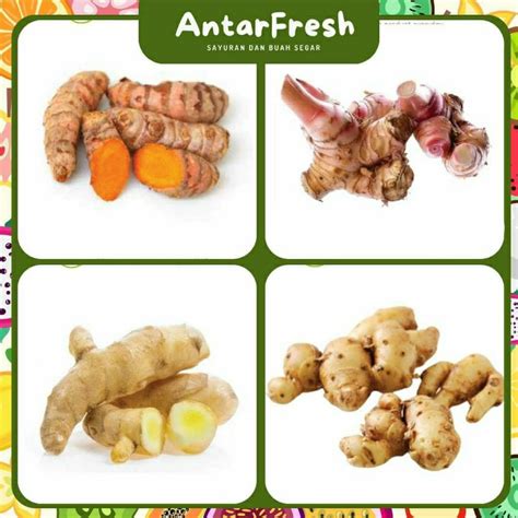 Jual Jahe Merah Kunyit Temulawak Kencur Lengkuas Shopee Indonesia