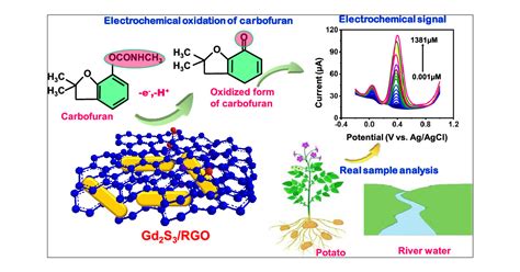 Highly Selective Electrochemical Sensor Based On Gadolinium Sulfide Rod Embedded Rgo For The