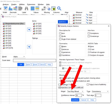 Cronbach S Alpha SPSS MyResearchMentor