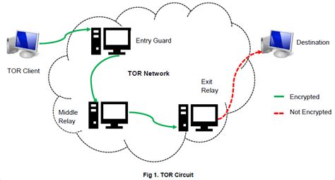 Education What Is Tor Browser